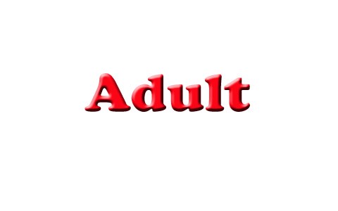 Adult